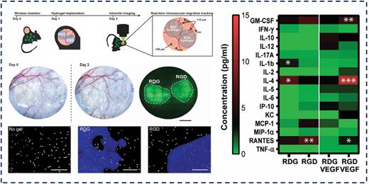 Immunomodulatory hydrogels for tissue repair and regeneration | APL ...