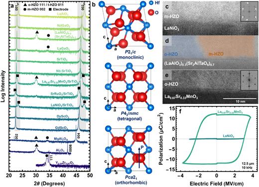 Interface effects in the phase determination of Hf0.5Zr0.5O2 epitaxial ...