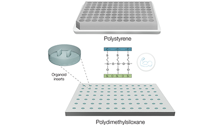 Robust and consistent bonding of polydimethylsiloxane to polystyrene ...