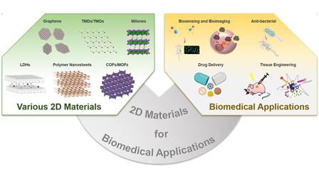 Two-dimensional (2D) materials for biomedical applications | APL Materials | AIP Publishing