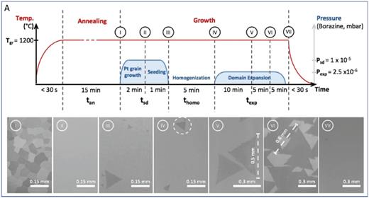 Boron nitride nanosheets, quantum dots, and dots: Synthesis, properties ...
