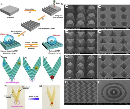 Advancing superhydrophobic surfaces: From mechanism insights and design ...