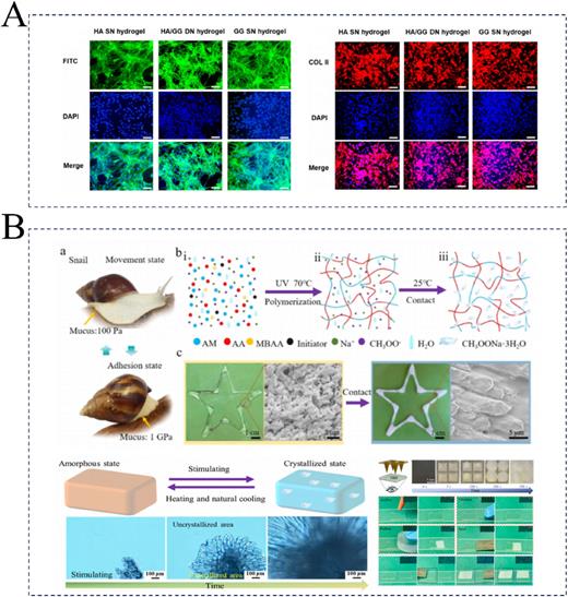Bionic hydrogel treatments for diabetic wounds | APL Materials | AIP ...