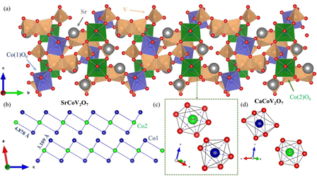 Exploring low-dimensional magnetism in cobalt vanadates, ACoV2O7 (A ...