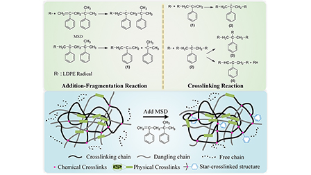 CTA-mediated free radical cross-linking behavior toward highly cross ...