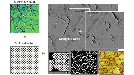 Physics-informed computer vision assisted defects classifier in transition metal dichalcogenides ...