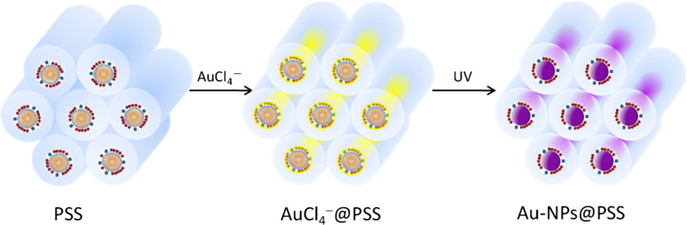 Enhancement of surface enhanced Raman scattering activity of Au ...