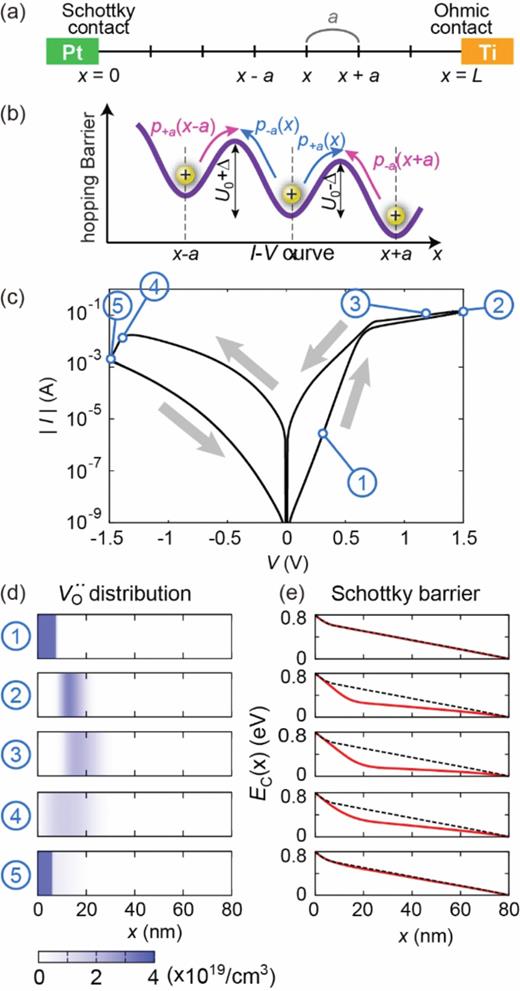 Anomalous effect due to oxygen vacancy accumulation below the electrode ...