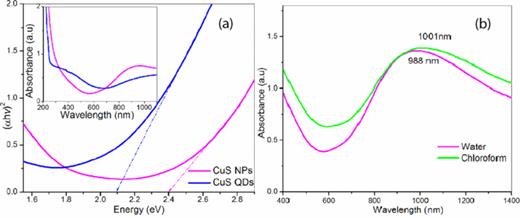 Role of surface states and defects in the ultrafast nonlinear optical ...
