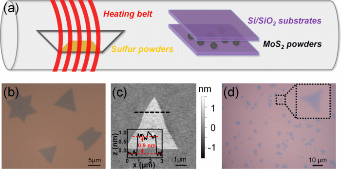 Facile synthesis of MoS2 and MoxW1-xS2 triangular monolayers | APL ...
