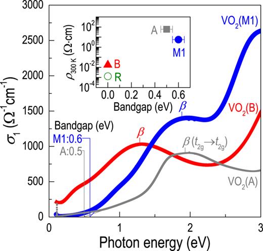 Electronic structure and insulating gap in epitaxial VO2 polymorphs ...