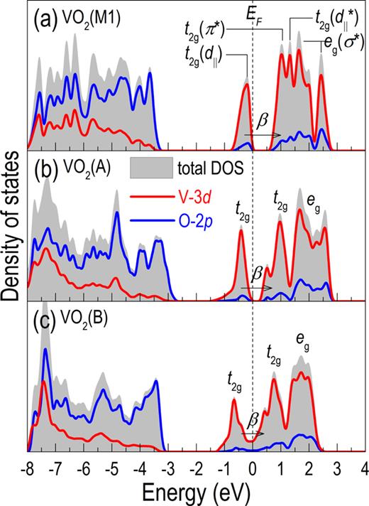 Electronic structure and insulating gap in epitaxial VO2 polymorphs ...