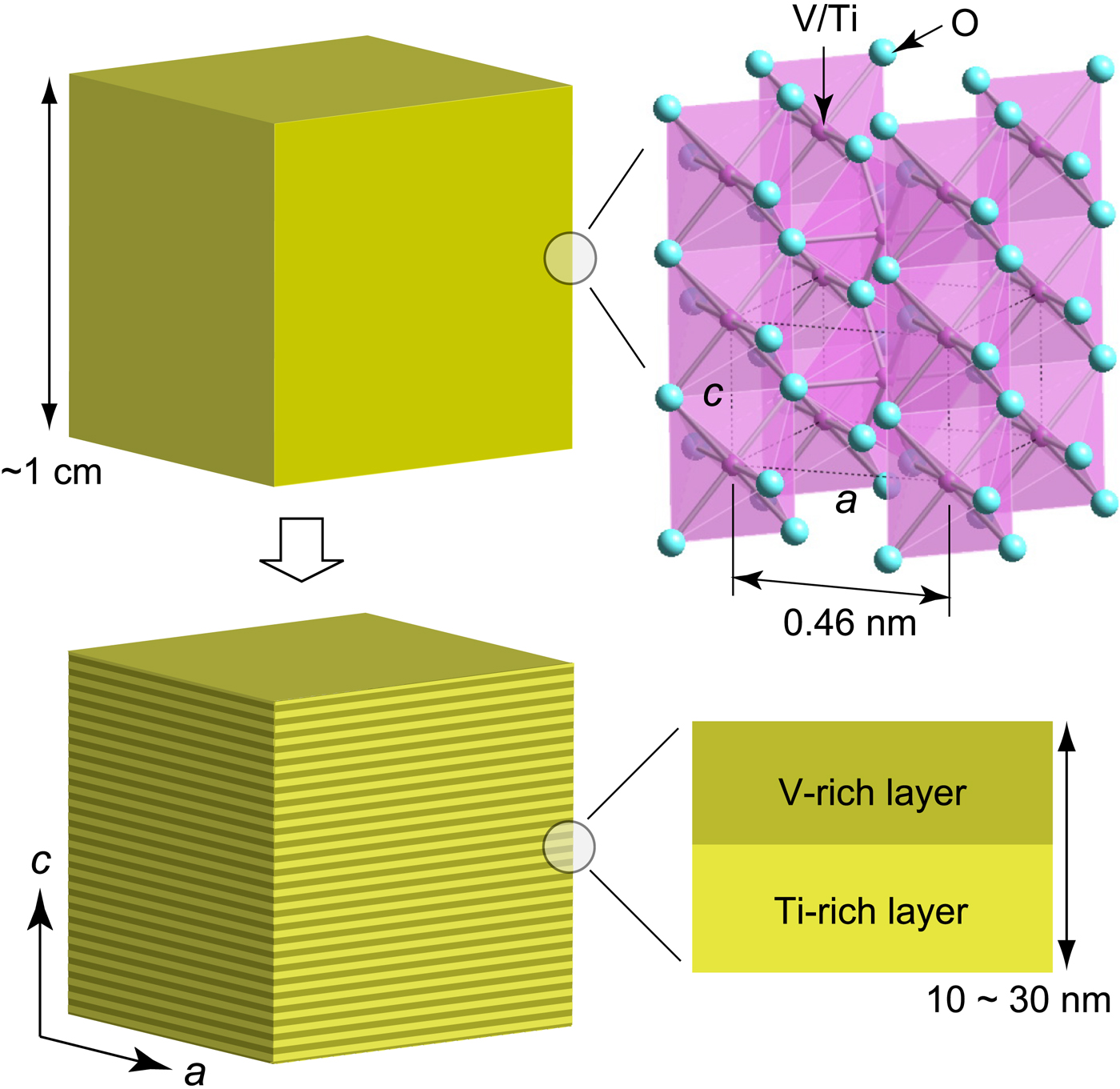 Spinodally decomposed nanostructures in a TiO2–VO2 crystal | APL ...