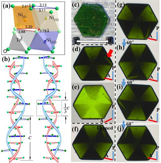 Interlocked chiral/polar domain walls and large optical rotation in ...