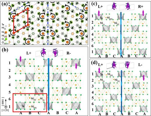 Interlocked chiral/polar domain walls and large optical rotation in ...