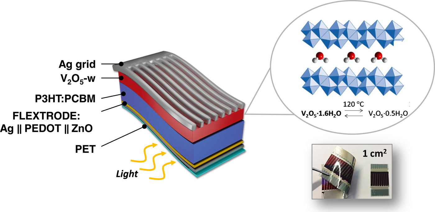 Flexible ITO-free organic solar cells applying aqueous solution ...