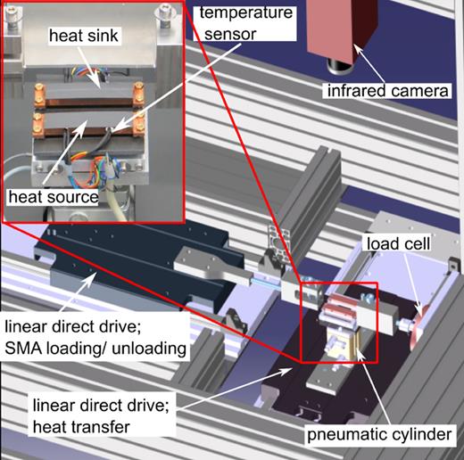 Elastocaloric cooling processes: The influence of material strain and ...
