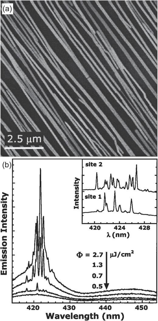 Perspectives: Nanofibers and nanowires for disordered photonics | APL Materials | AIP Publishing