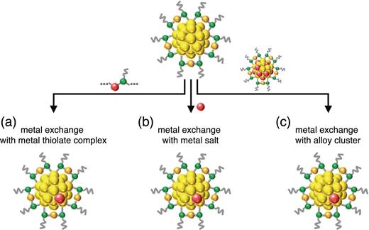 Perspective: Exchange reactions in thiolate-protected metal clusters ...