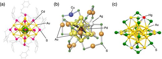 Perspective: Exchange reactions in thiolate-protected metal clusters ...