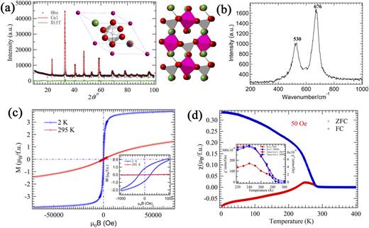 Role of spontaneous strains on the biphasic nature of partial B-site ...