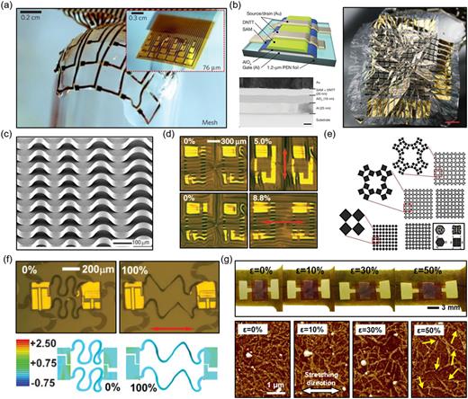 Invited Article: Emerging soft bioelectronics for cardiac health ...