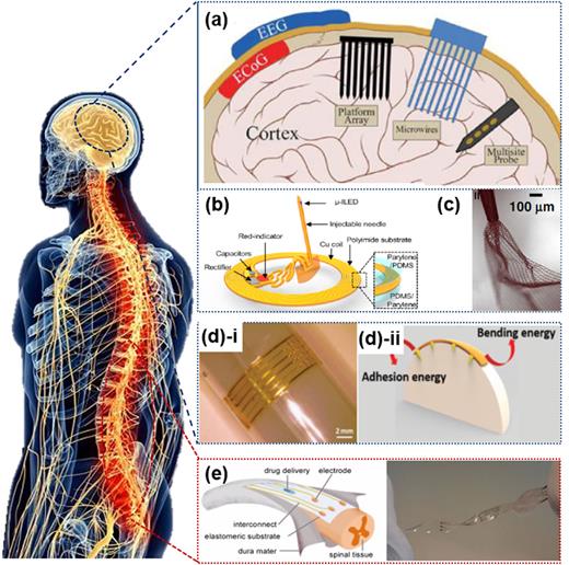 From flexible electronics technology in the era of IoT and artificial ...
