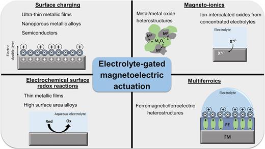 Electrolyte-gated magnetoelectric actuation: Phenomenology, materials ...