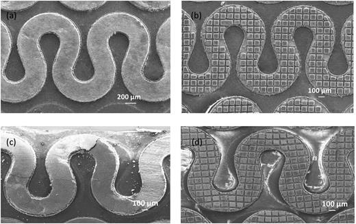 Microstructured electrodes supported on serpentine interconnects for ...