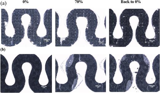 Microstructured electrodes supported on serpentine interconnects for ...