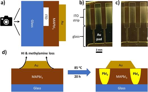 Reactions at noble metal contacts with methylammonium lead triiodide ...