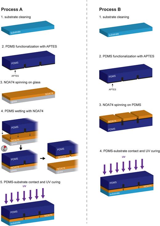 Polydimethylsiloxane (PDMS) irreversible bonding to untreated plastics ...