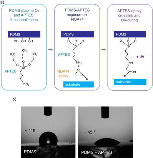 Polydimethylsiloxane (PDMS) irreversible bonding to untreated plastics ...