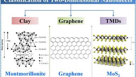 2D nanosheet-constructed hybrid nanofillers for polymer nanocomposites ...