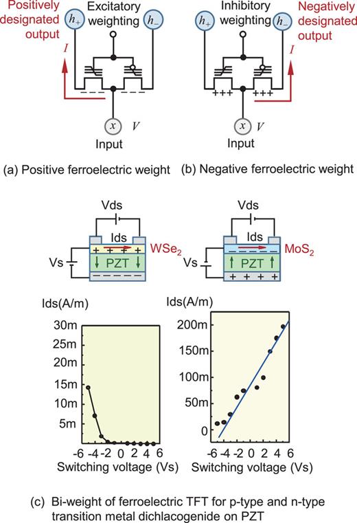 Ferroelectric materials for neuromorphic computing | APL Materials ...