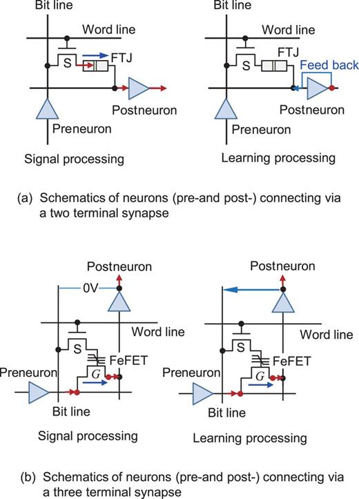 Ferroelectric materials for neuromorphic computing | APL Materials | AIP Publishing