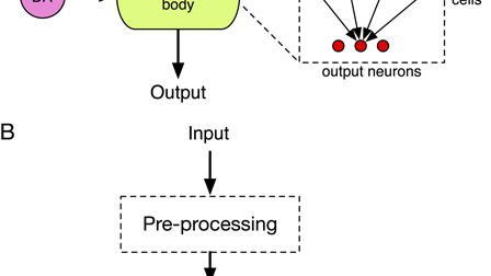Memristor design rules for dynamic learning and edge processing applications | APL Materials ...