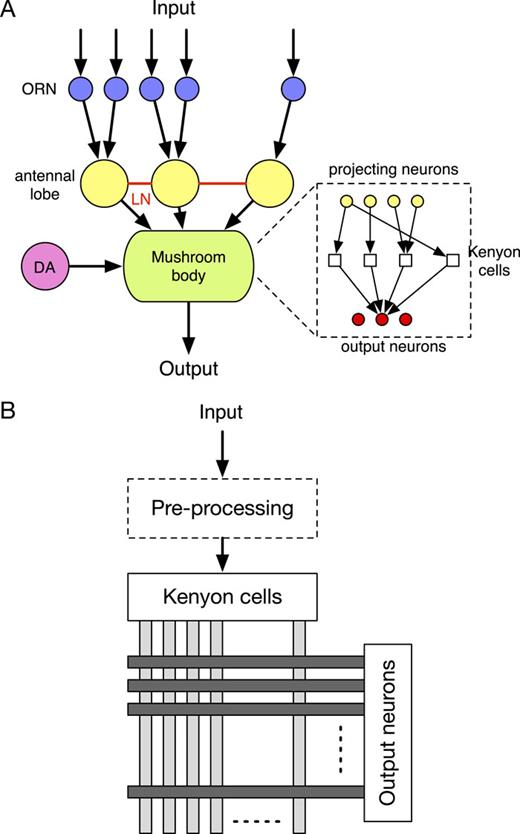 Memristor design rules for dynamic learning and edge processing applications | APL Materials ...