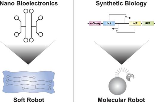 Engineering control circuits for molecular robots using synthetic ...