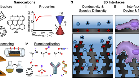 Bioelectronics with graphene nanostructures | APL Materials | AIP ...