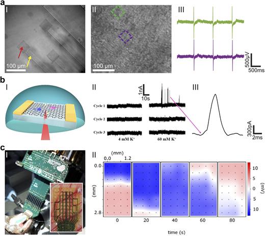 Bioelectronics with graphene nanostructures | APL Materials | AIP ...
