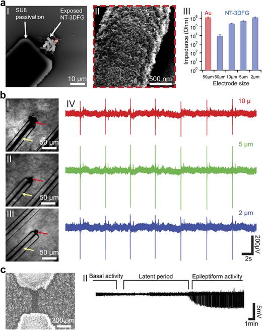 Bioelectronics with graphene nanostructures | APL Materials | AIP ...