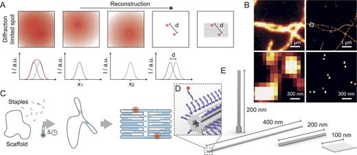 DNA origami nanorulers and emerging reference structures | APL ...