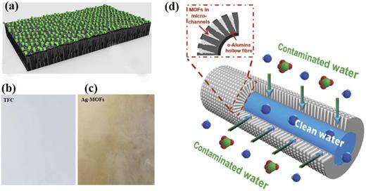 Metal–Organic Frameworks (MOFs)-boosted filtration membrane technology ...