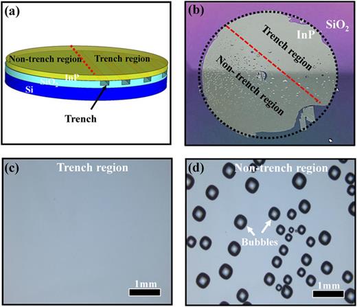 Wafer-scale heterogeneous integration InP on trenched Si with a bubble ...