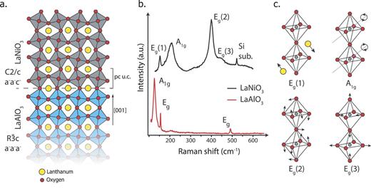 Vibrational properties of LaNiO3 films in the ultrathin regime | APL ...
