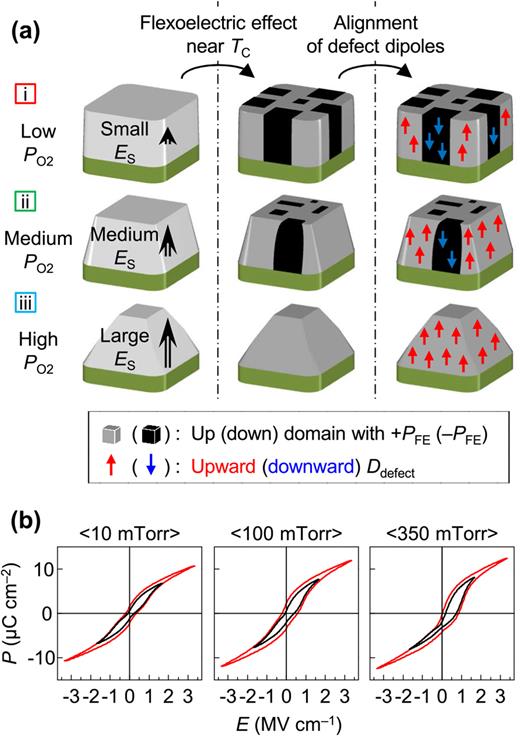 Flexoelectricity in thin films and membranes of complex oxides | APL ...