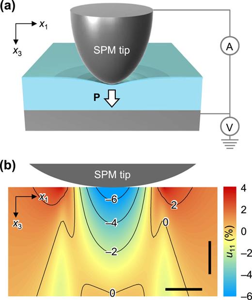 Flexoelectricity in thin films and membranes of complex oxides | APL ...