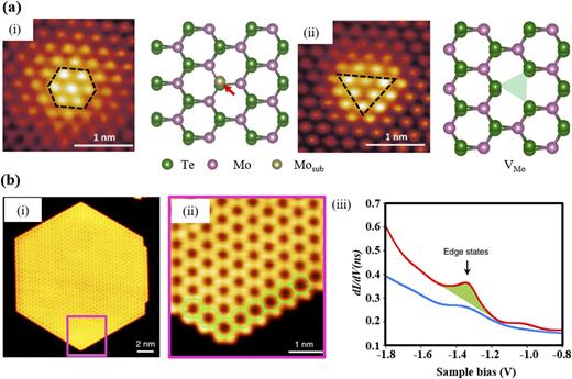 Atomic-level defect modulation and characterization methods in 2D ...