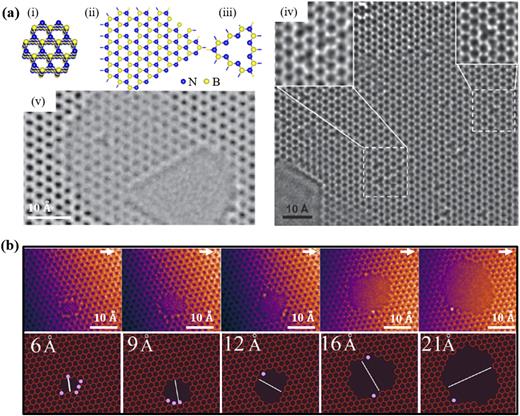 Atomic Level Defect Modulation And Characterization Methods In 2d